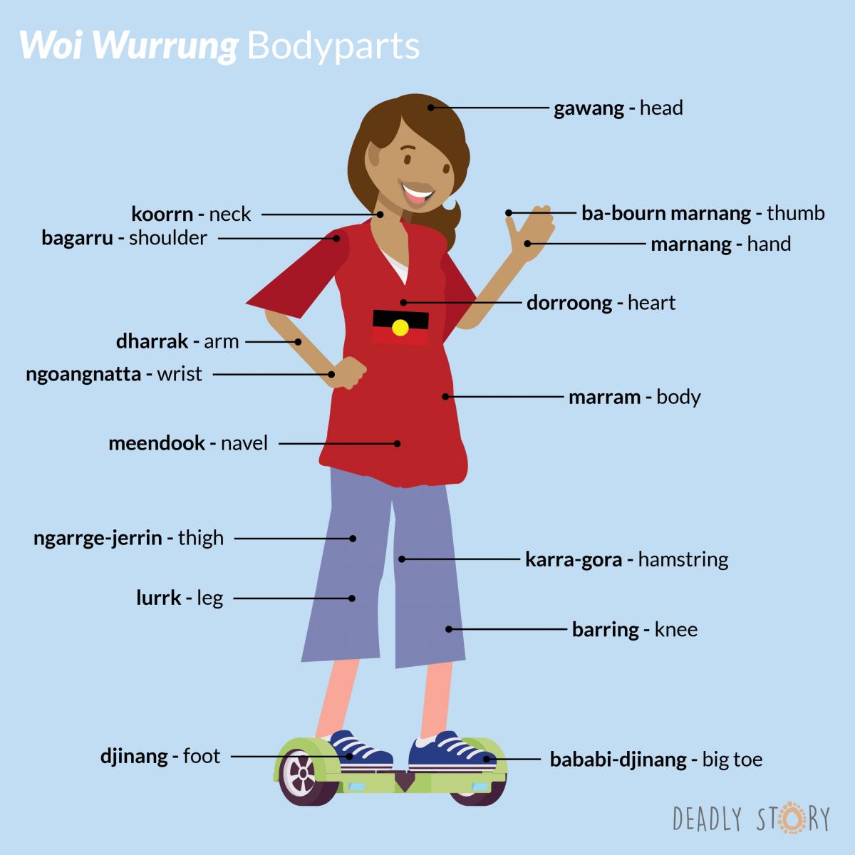 Wurundjeri Language - Deadly Story